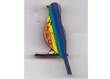 Rainbow Canary Pin Badge | Hitchin Town FC | Hitchin Town Tickets